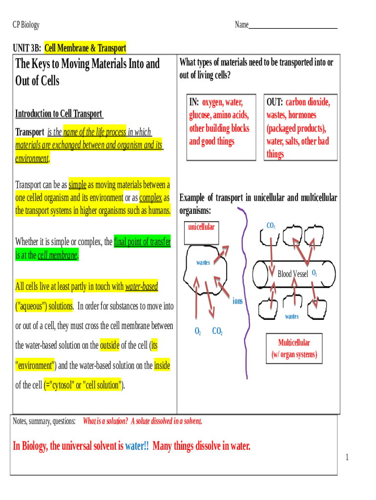 Solutions on the outside of a cell - StudyLib Doc Template | pdfFiller