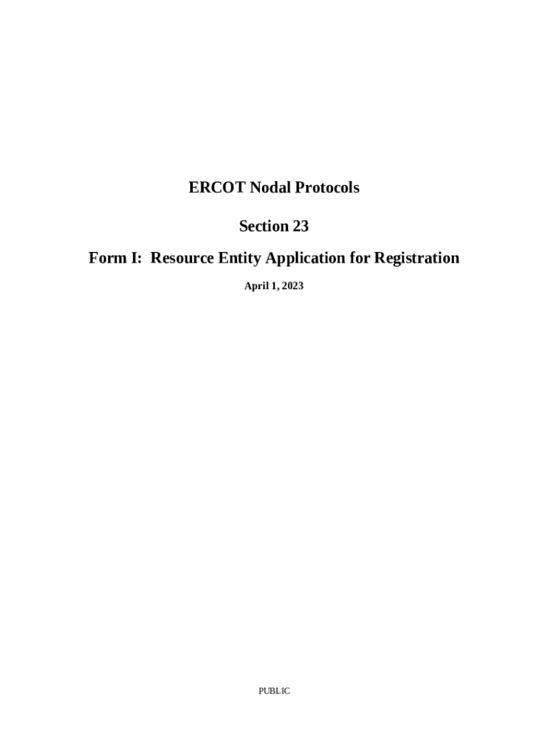 Section 23 B: Load Serving Entity (LSE) Application ... Doc Template | pdfFiller
