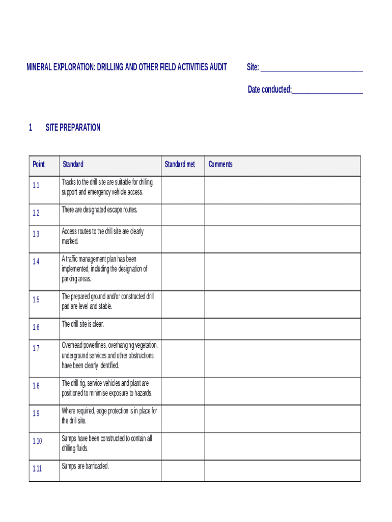 Audit Template-Element. MS - Audit - Template - GENERIC AUDIT TEMPLATE ...