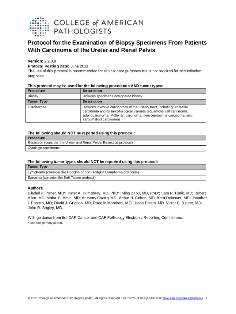Carcinomas of the Renal Pelvis and Ureter - ICCR-cancer.org Doc Template | pdfFiller