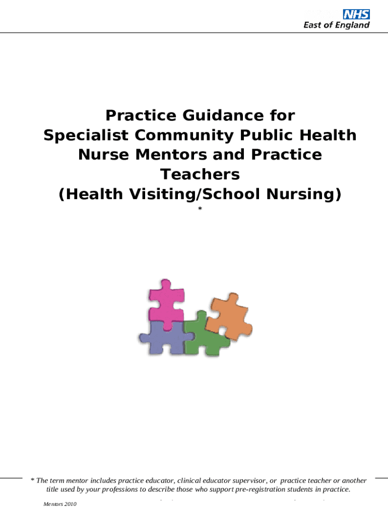 Mentoring community service nurses in public health settings - heeoe ...