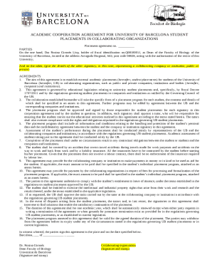 SPAIN Ination on Tax Identification Numbers Section I Doc Template ...