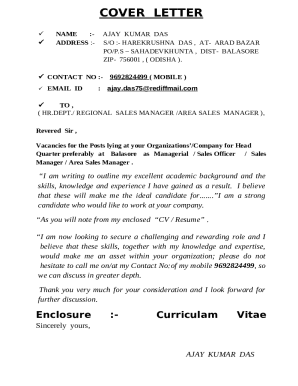 Professional / Work Experiences Doc Template | pdfFiller