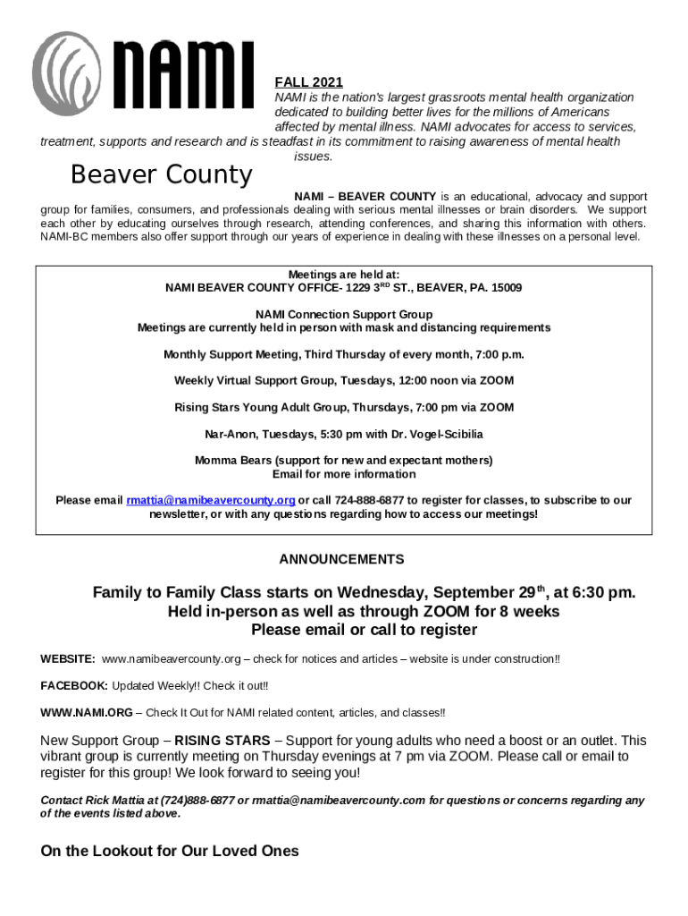 NAMI advocates for access to services, treatment, supports and research ...