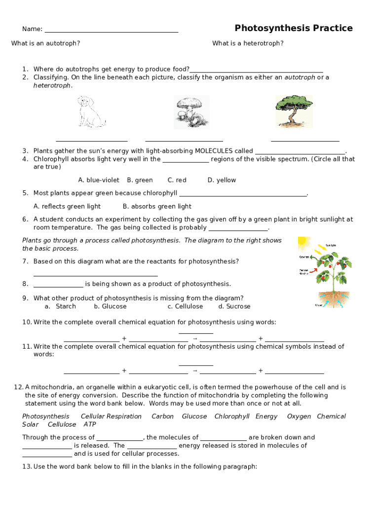 An Overview of PhotosynthesisBiology for Non-Majors I Doc Template ...