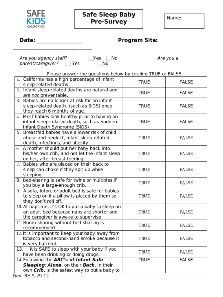 Implementing a Hospital-Based Safe to Sleep Program Doc Template ...