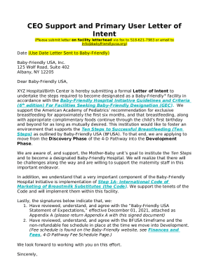 Chief Executive Letter of SupportInstructions & Sample Doc Template ...