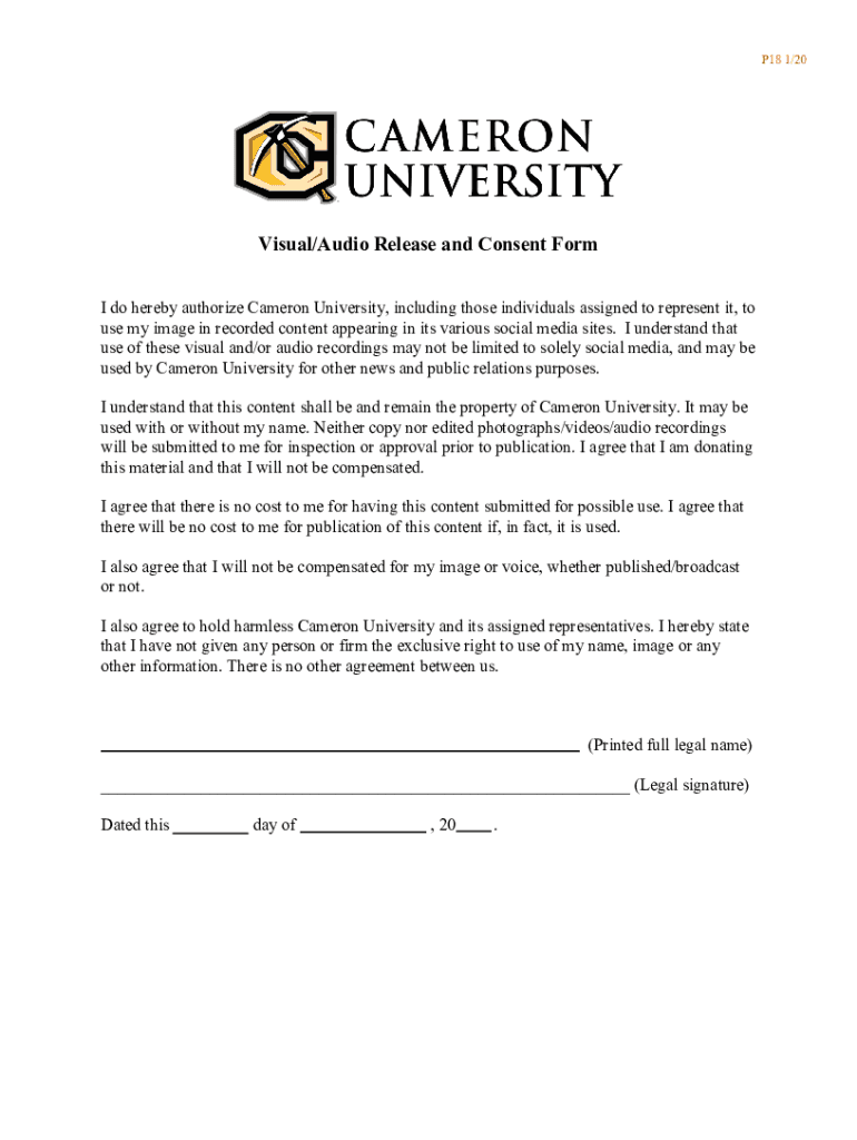Fillable Online Free fillable Visual/Audio Release and Consent Form ...