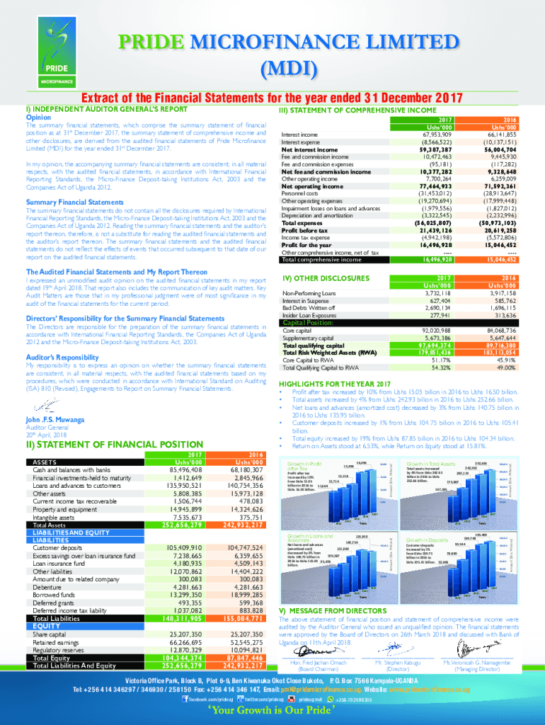 Fillable Online Extract of the Financial Statements for the year ended ...