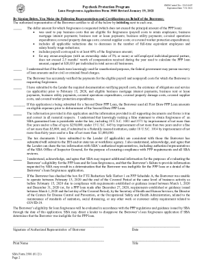 Fillable Online Fillable PPP Loan Forgiveness Application Form 3508S ...