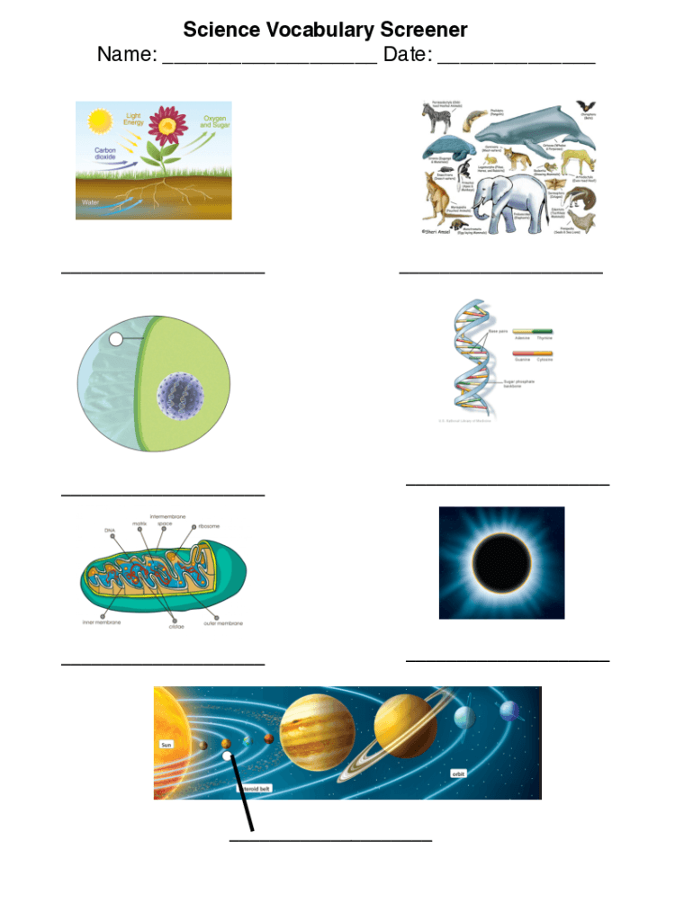 Fillable Online WHAT The CORE Vocabulary Screening measures how Fax ...