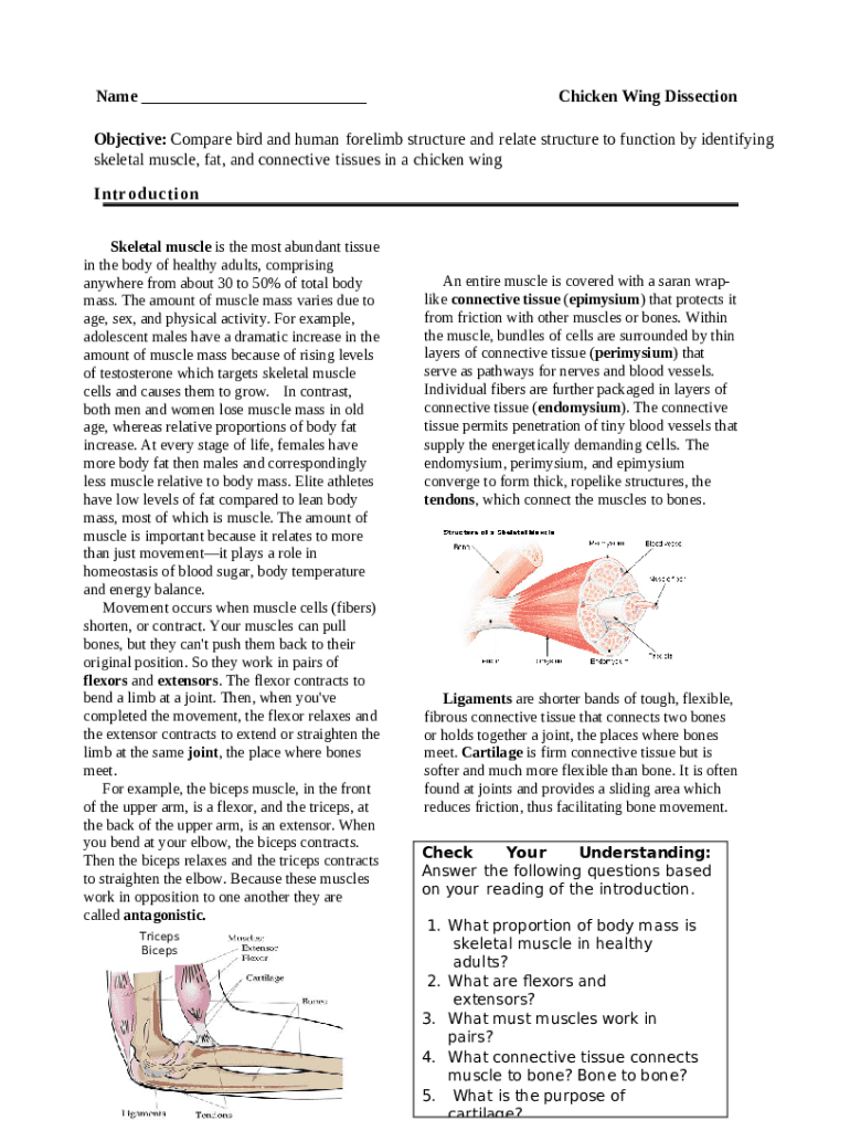Activity: Chicken Wings and Muscle Structure Doc Template | pdfFiller