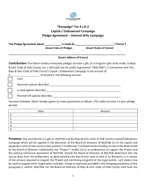 Fillable Online CAPITAL CAMPAIGN PLEDGE AGREEMENT (INTERNAL) Fax Email ...