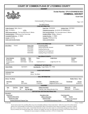 Fillable Online Lycoming county docket sheets Fax Email Print - pdfFiller