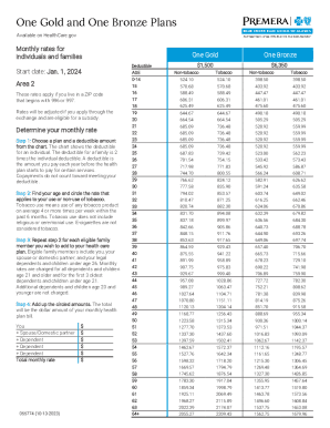 Fillable Online One Gold and One Bronze Plans Fax Email Print - pdfFiller