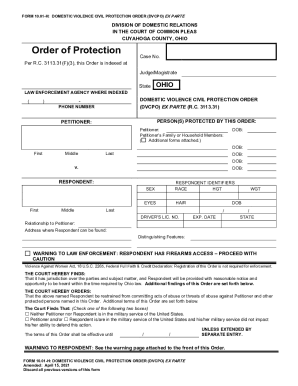 Fillable Online domestic cuyahogacounty 01-H: DOMESTIC VIOLENCE CIVIL ...