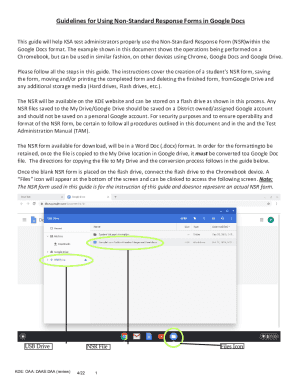 Fillable Online Guidelines for Using Non-Standard Response Forms in ...