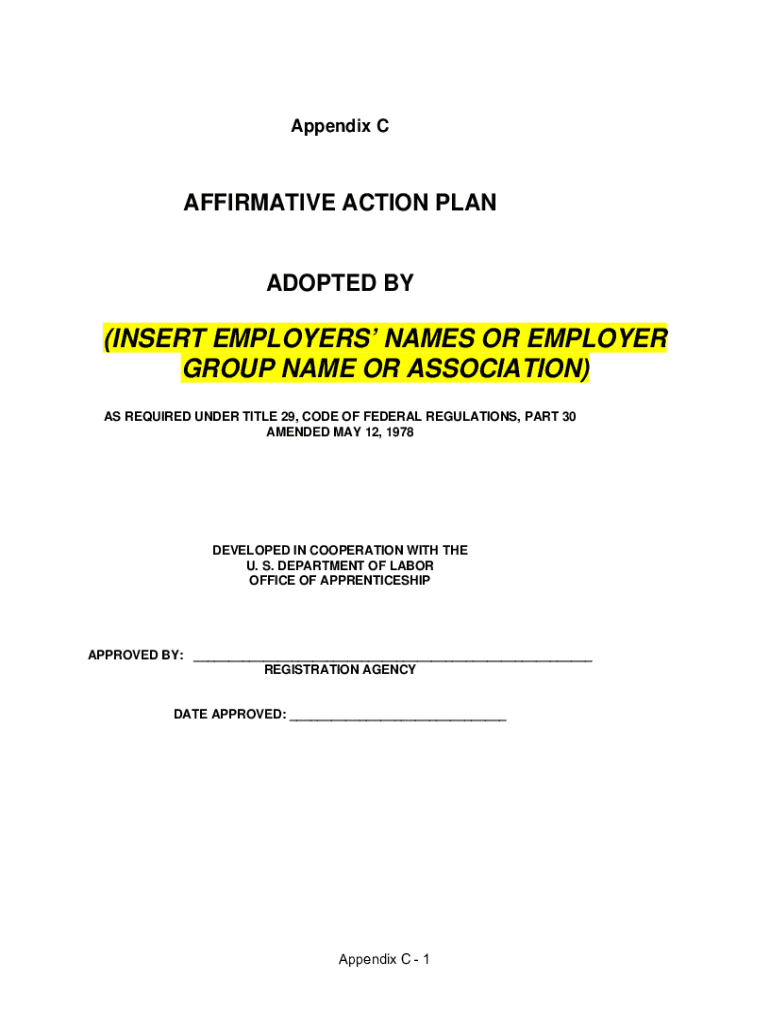 Fillable Online Affirmative Action Plan Sample - Fill Online, Printable, ... Fax Email Print ...