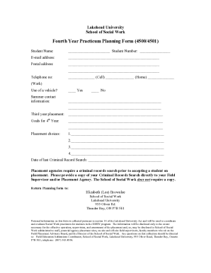 Fillable Online 4 Fourth Year Practicum Planning Form.doc Fax Email Print - pdfFiller