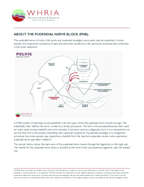 Fillable Online Pundendal Nerve block - template.docx Fax Email Print ...