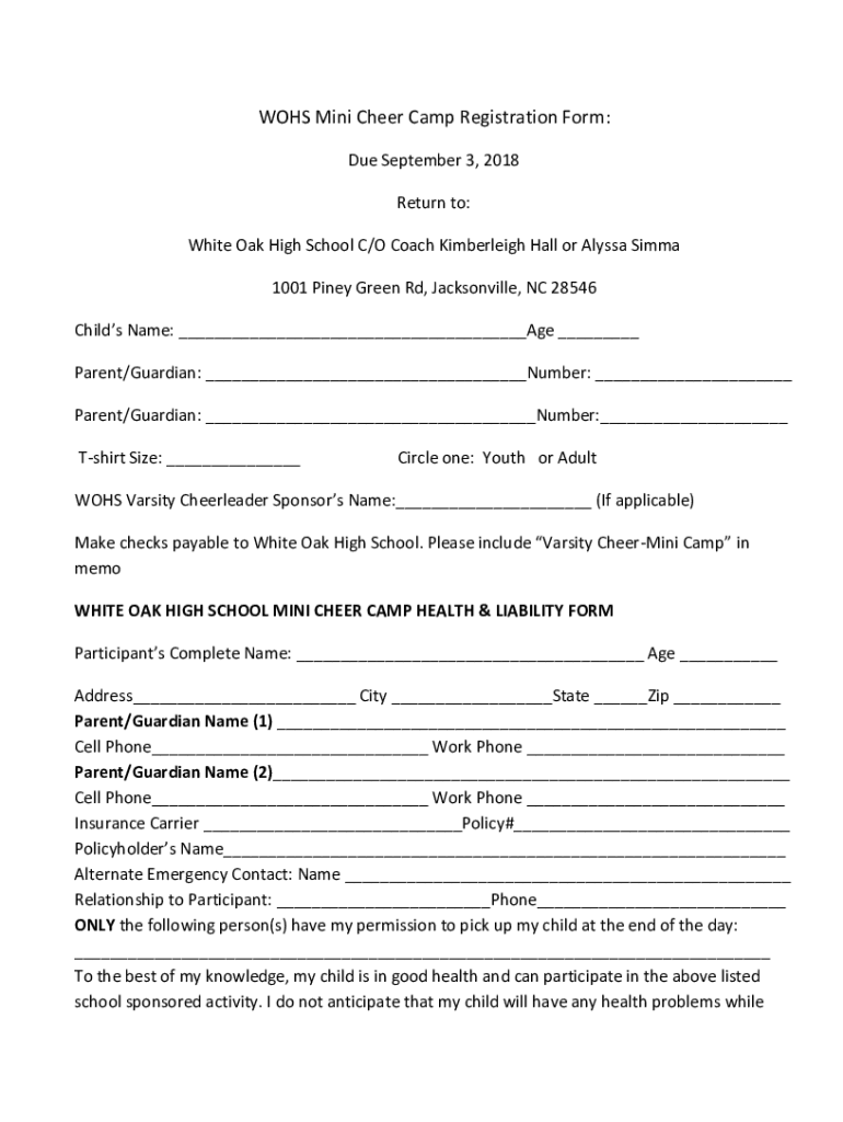 Fillable Online WOHS Mini Cheer Camp Registration Form: Fax Email Print ...