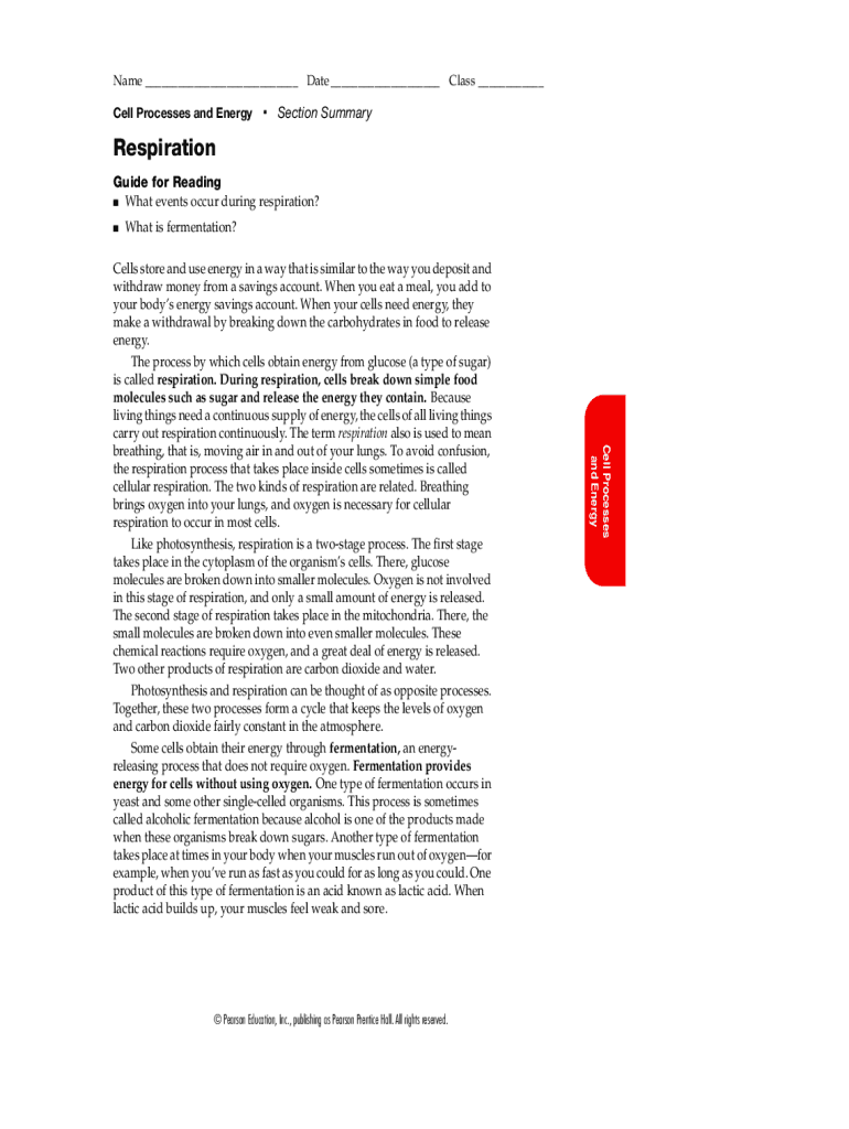 Fillable Online Respiration.pdf Fax Email Print - pdfFiller