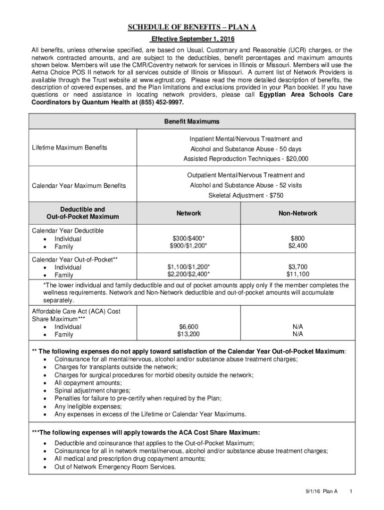 Fillable Online schedule of benefitsplan hdhp high deductible health ...