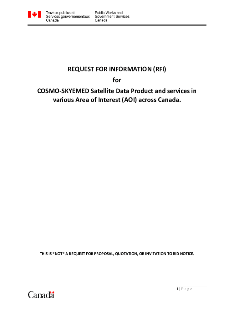 Fillable Online Request for Information (RFI) Technical Solutions ...