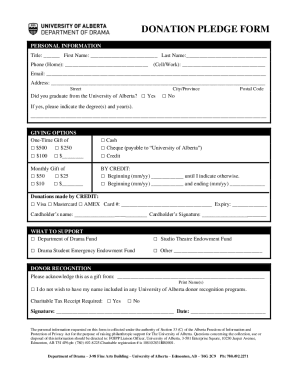 Fillable Online Sample Contribution Pledge FormPDF Fax Email Print - pdfFiller