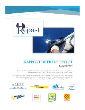 Remplissable En Ligne RAPPORT DE FIN DE PROJET Faxer Email Imprimer ...