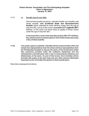 Fillable Online AGREEMENT REGISTERED NURSES Fax Email Print - pdfFiller