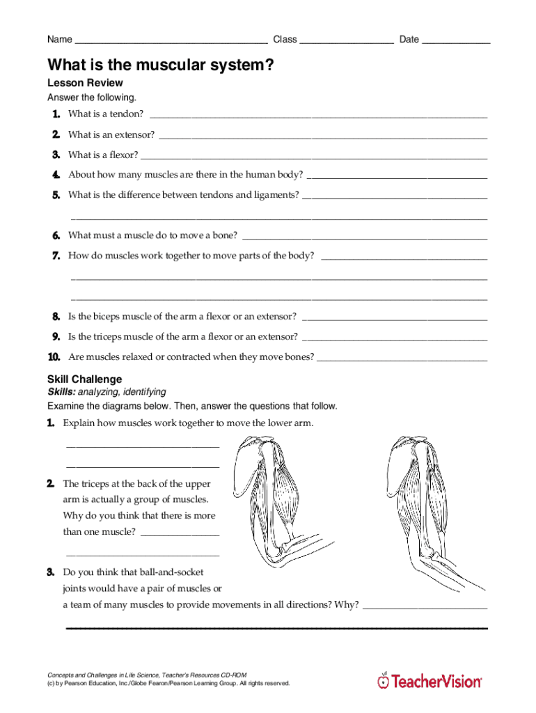 Fillable Online WORKSHEET-UNIT-6-MUSCULAR-SYSTEM 1 .docx - NAME Fax ...