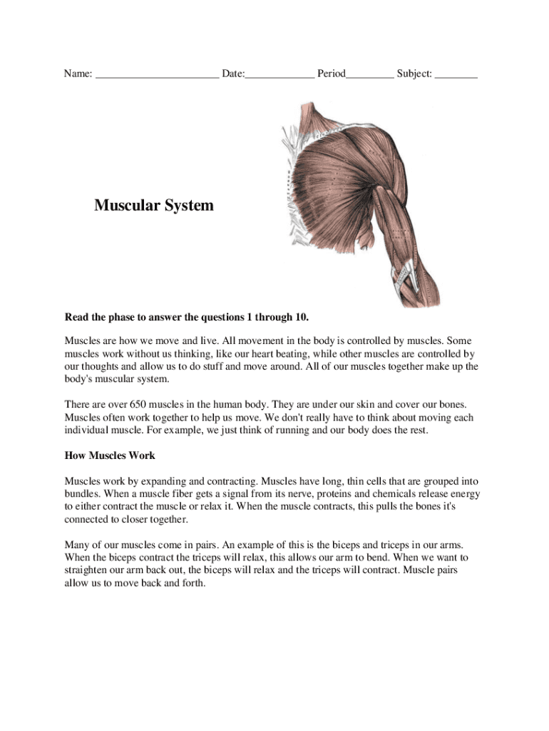 Fillable Online Name Date Period Muscular System Webquest Step 1: Go to ...
