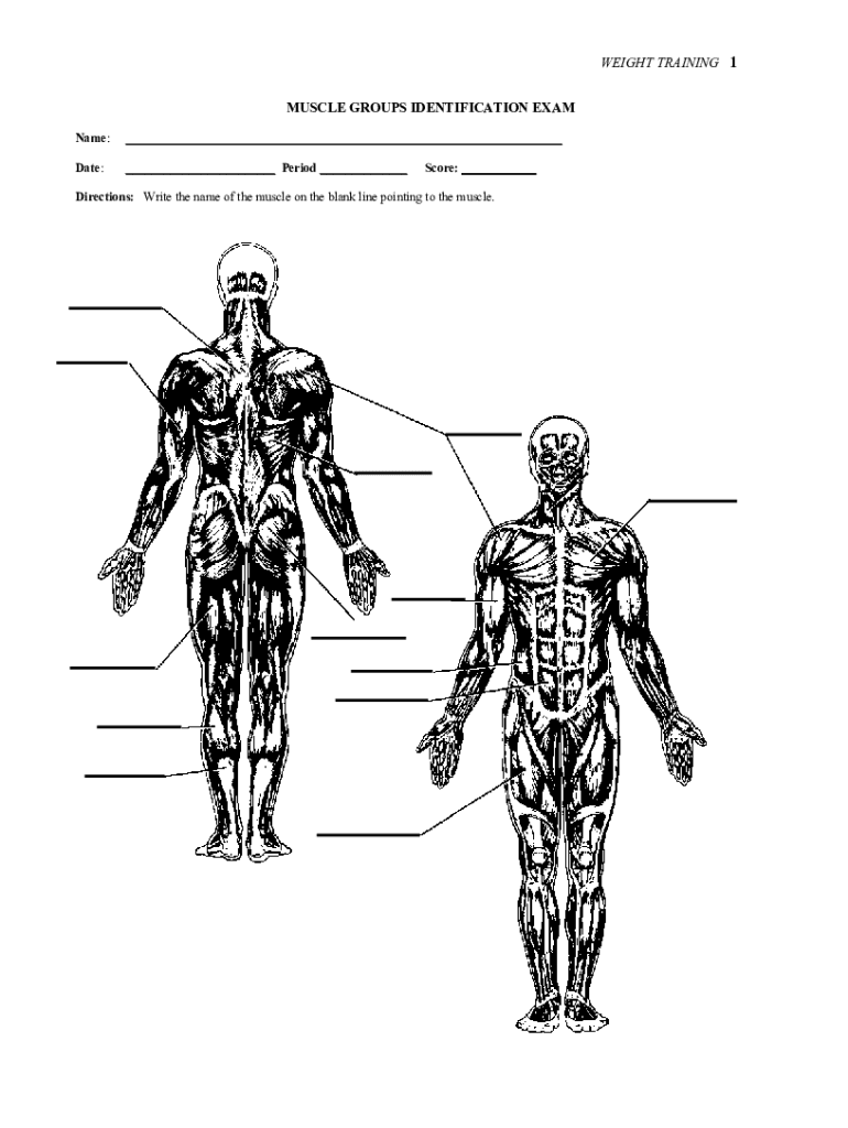 Fillable Online Exploring Exercises for Muscular Fitness: Practice ...