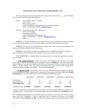 Fillable Online Form of Loan Agreement and Promissory Note Fax Email ...