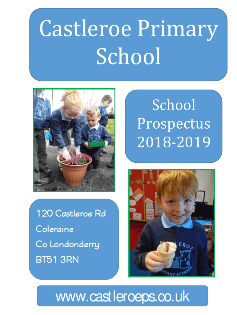 Fillable Online Short Inspection - Castleroe Primary School, Coleraine ...