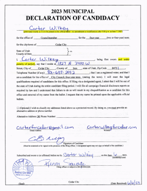 Fillable Online Write-In Candidacy Declaration Form Now Available ... Fax Email Print - pdfFiller