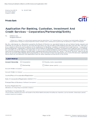 Fillable Online CPD Application. CPD Application Fax Email Print - pdfFiller