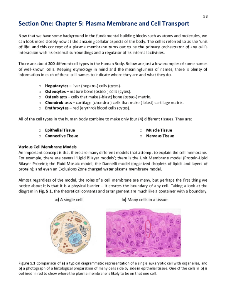 Fillable Online Chapter 8. Membrane TransportIntroduction to Molecular ... Fax Email Print ...