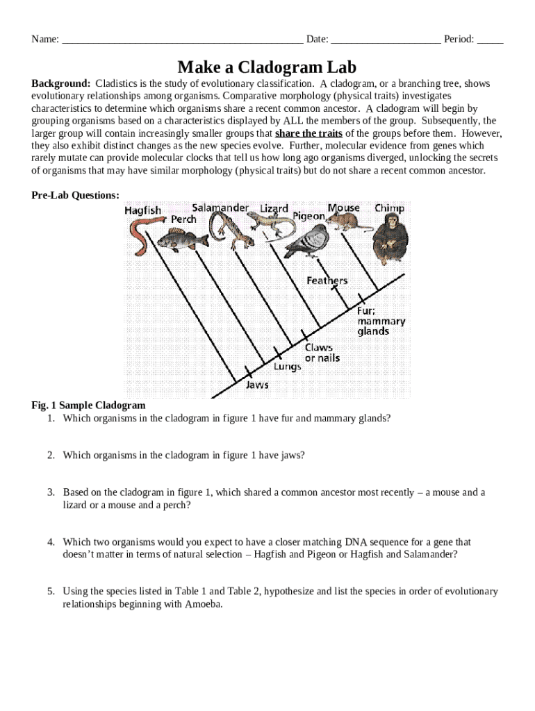 Solved Make a Cladogram Lab Background: Cladistics is the Doc Template ...