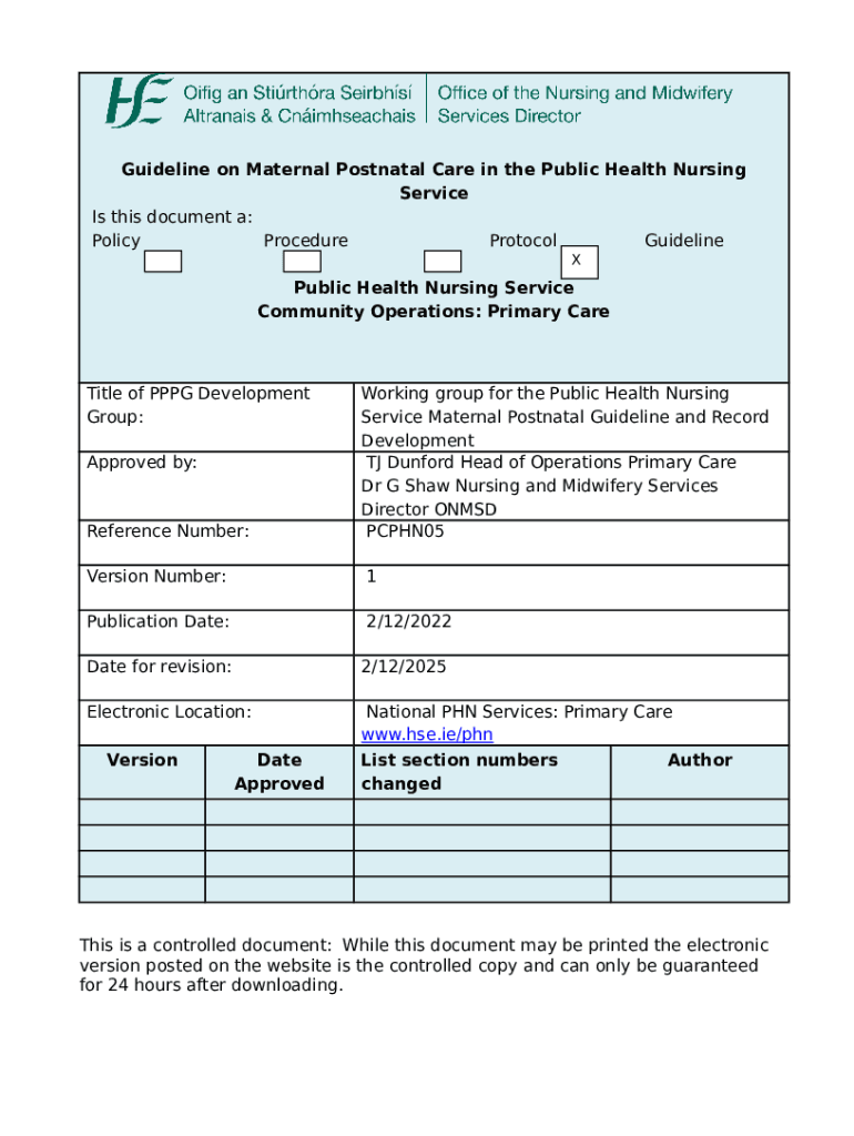 Guideline on maternal postnatal care in the PHN service Doc Template ...