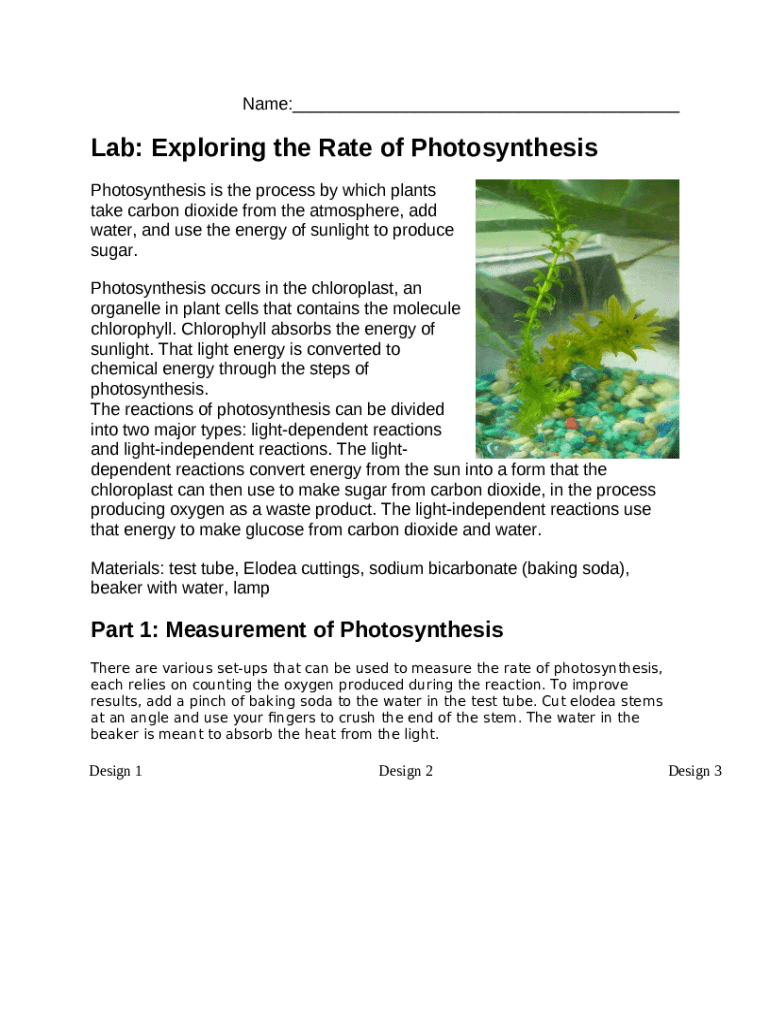 Lab: Exploring the Rate of Photosynthesis Doc Template | pdfFiller