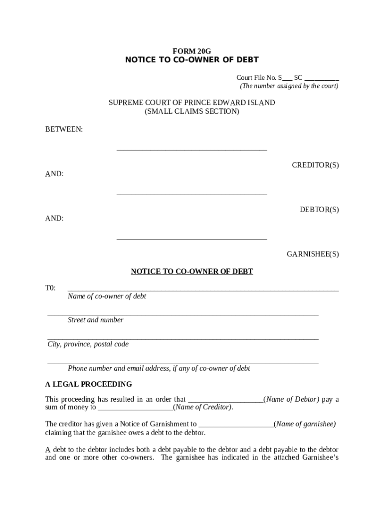20G Notice to Co-owner of Debt Doc Template | pdfFiller