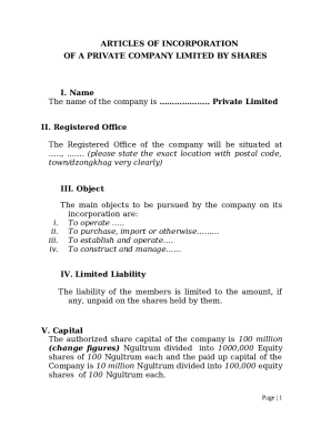What Is A Private Limited Company: A Complete Guide Doc Template ...