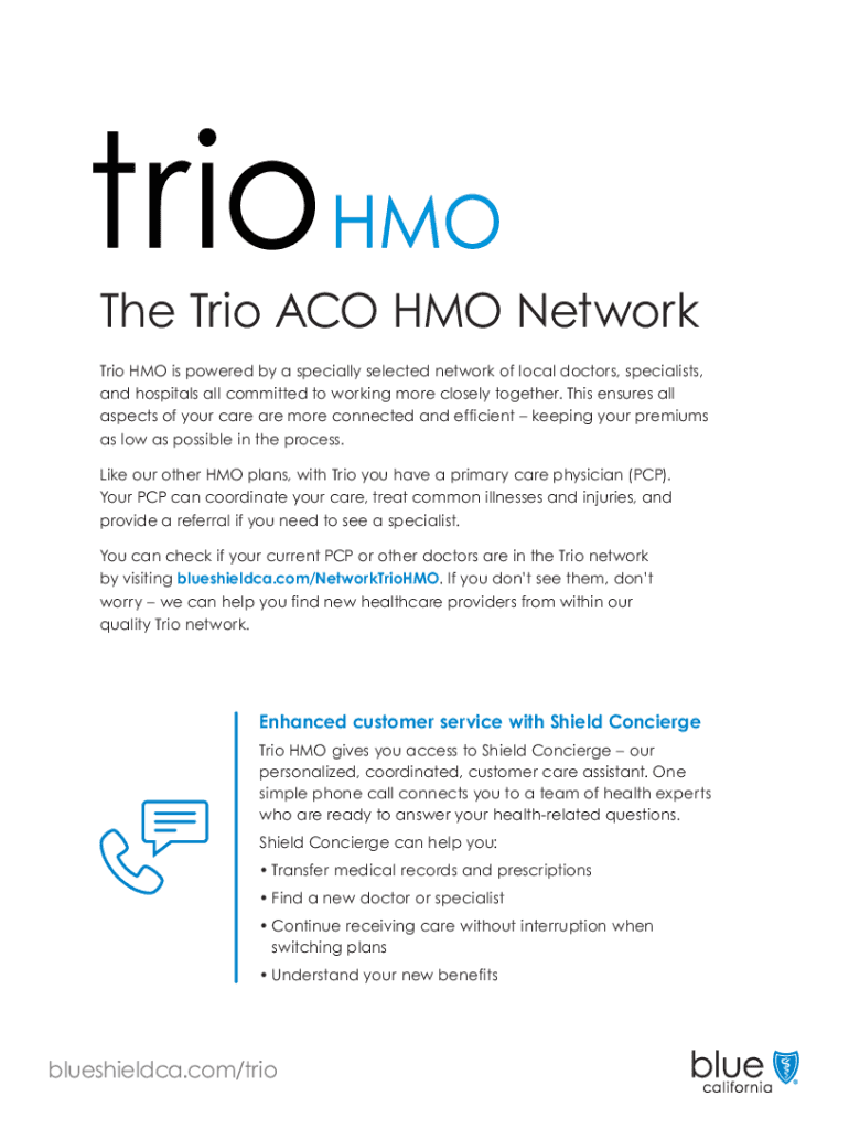 Fillable Online A4894212-19REF122718XLOB 2019Trio ACO Network Flyer and ...