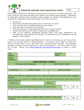Mentor Driver Declaration Doc Template | pdfFiller
