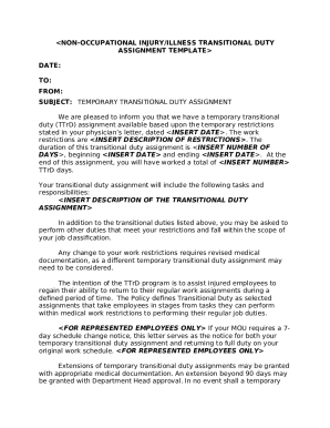 TRANSITIONAL WORK PLAN AGREEMENT Doc Template | pdfFiller