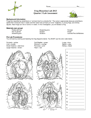 Fillable Online Solved Animal Lab Four: Frog Dissection Introduction ...