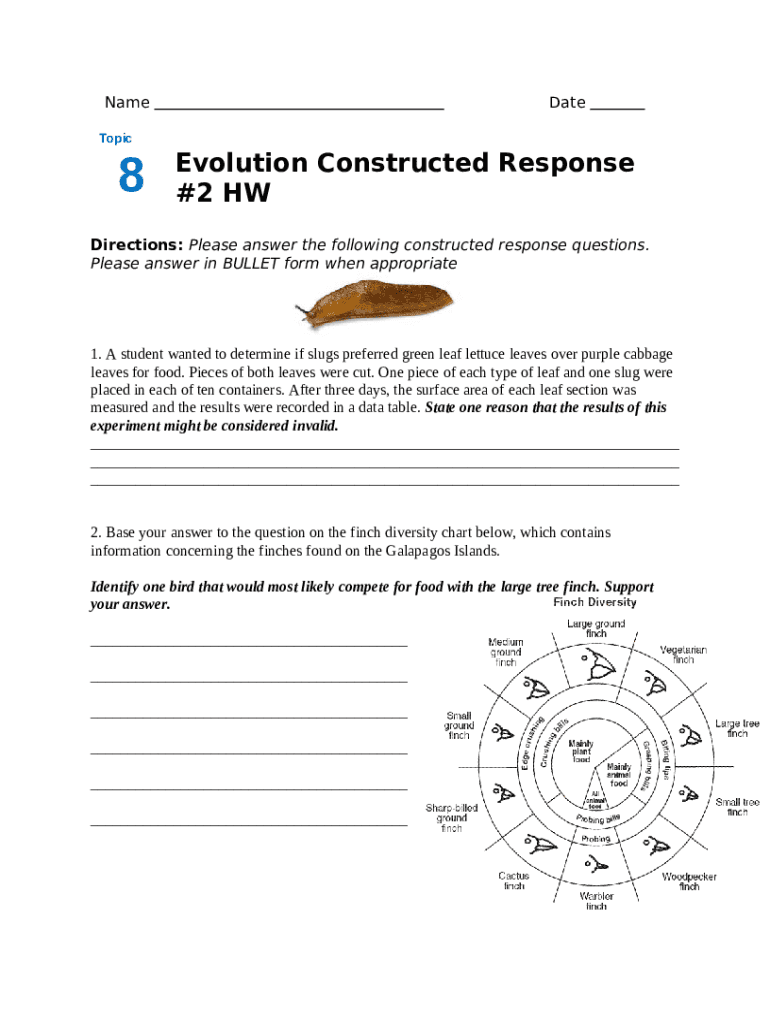 How to Write a Constructed Response Using Text Evidence Doc Template ...