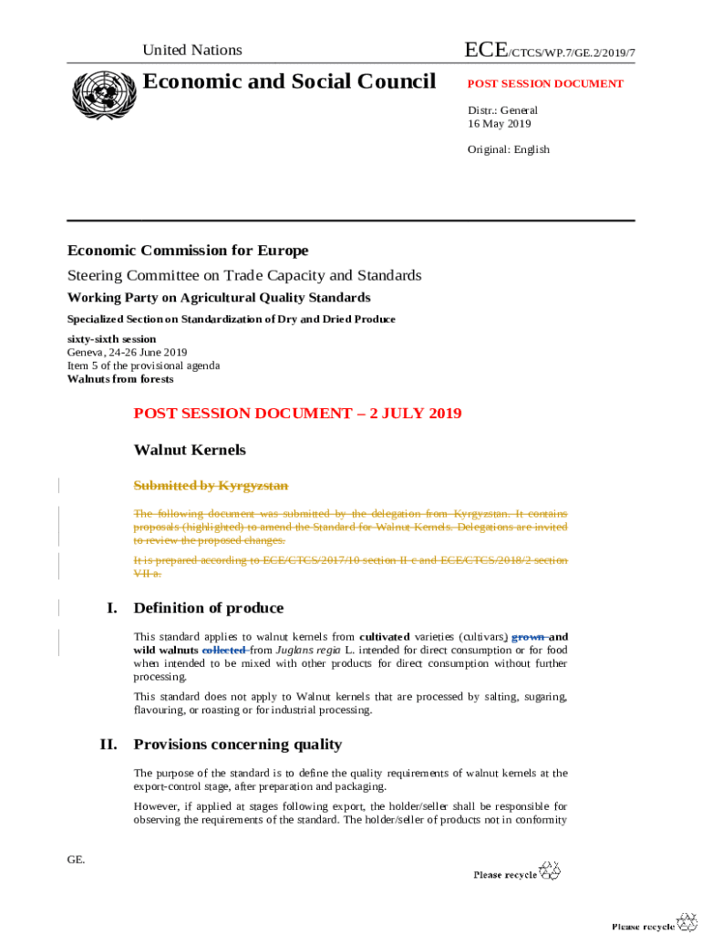Report of the Specialized Section on Standardization ... Doc Template ...